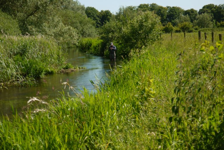 Day tickets for fish for trout on a superb stretch of Norfolk's River ...